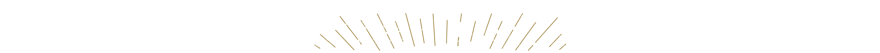 The Willett Arms Country Pub & Restaurant in Wimborne