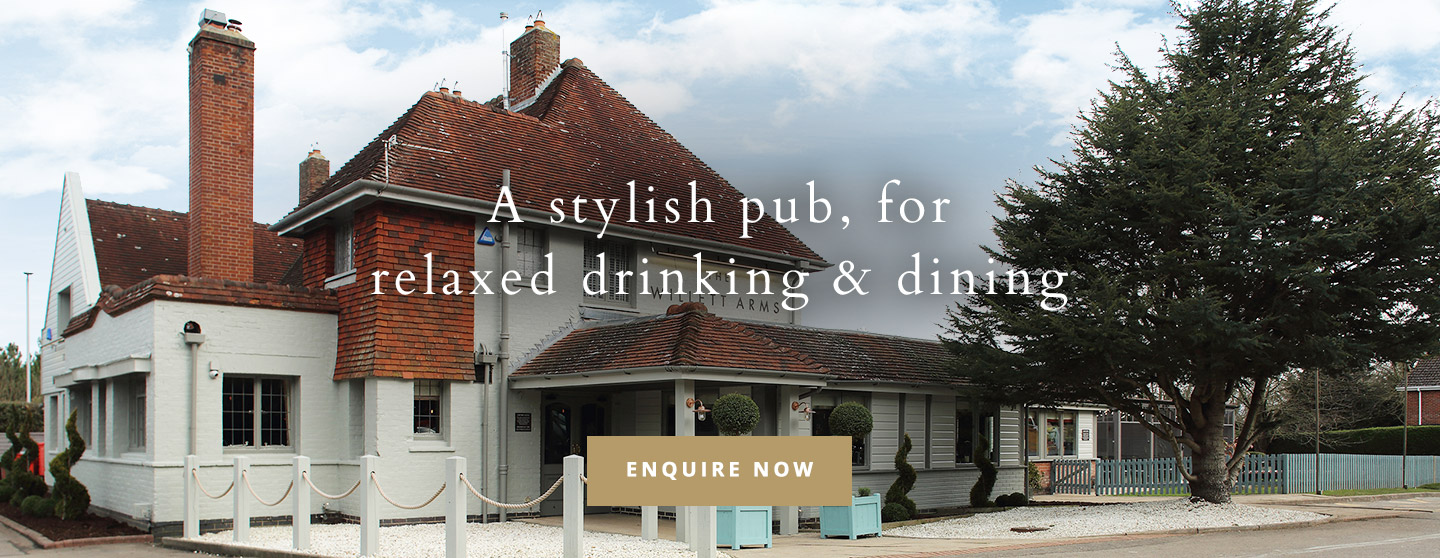 The Willett Arms Pub & Restaurant in Wimborne, Dorset